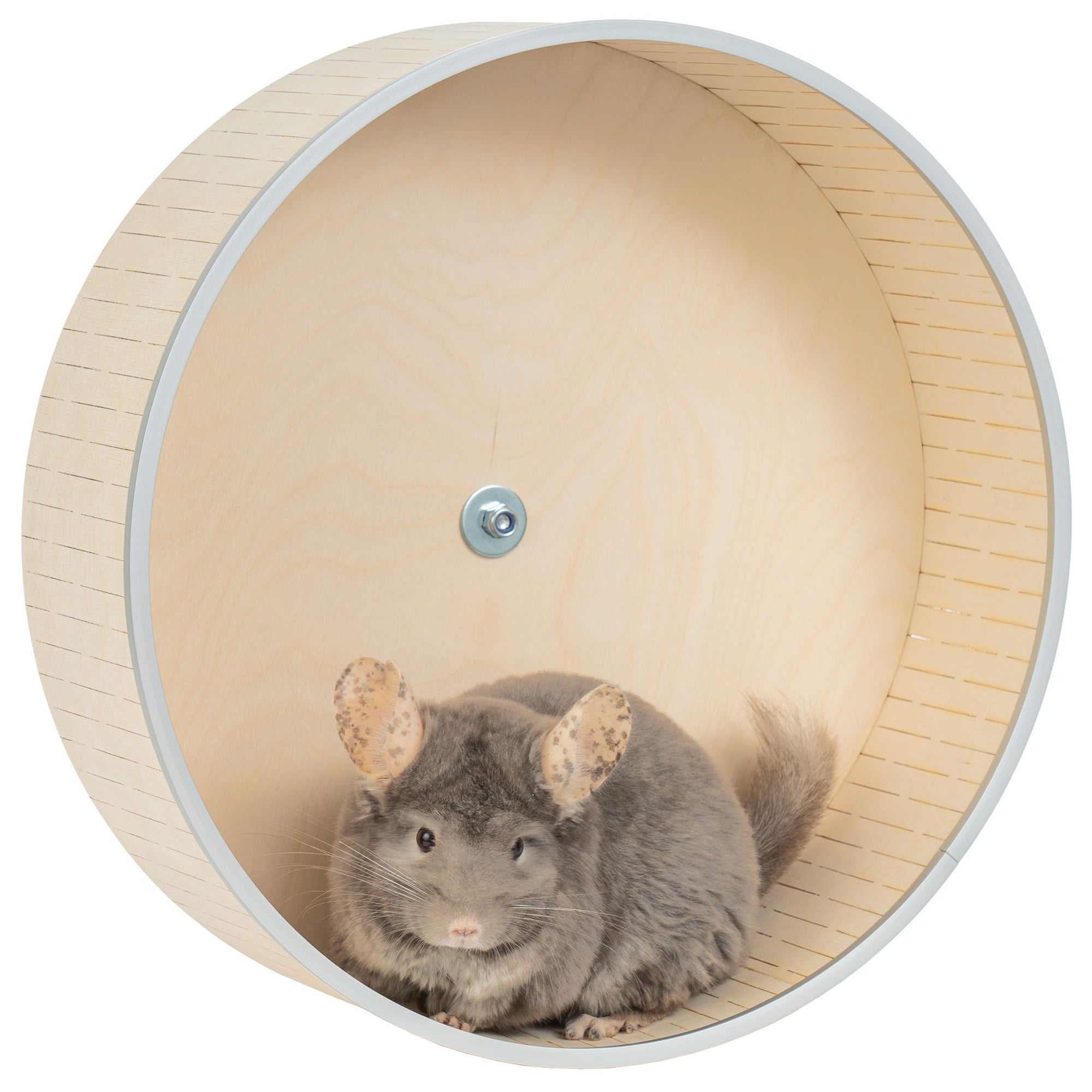 CHINCHILLA Small Pets Exercise RUNNING WHEEL Perfect For Hedgehogs, Sq ...