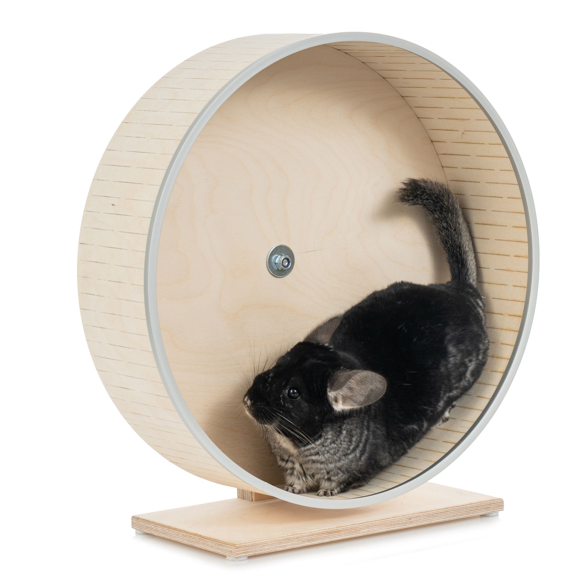Running Wheels for Chinchilla – Running wheel