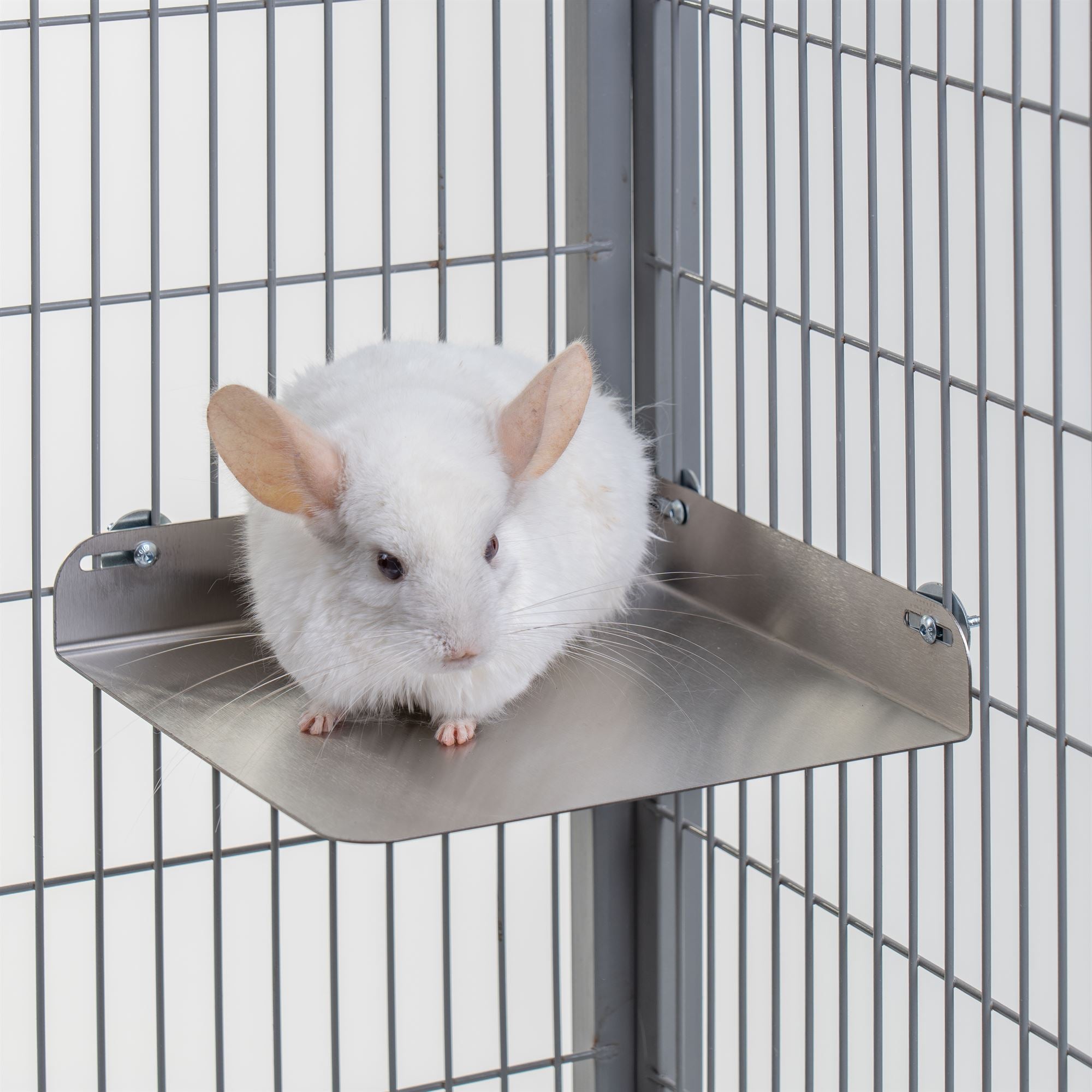 Metal ledge for rodents and small pets – Running wheel